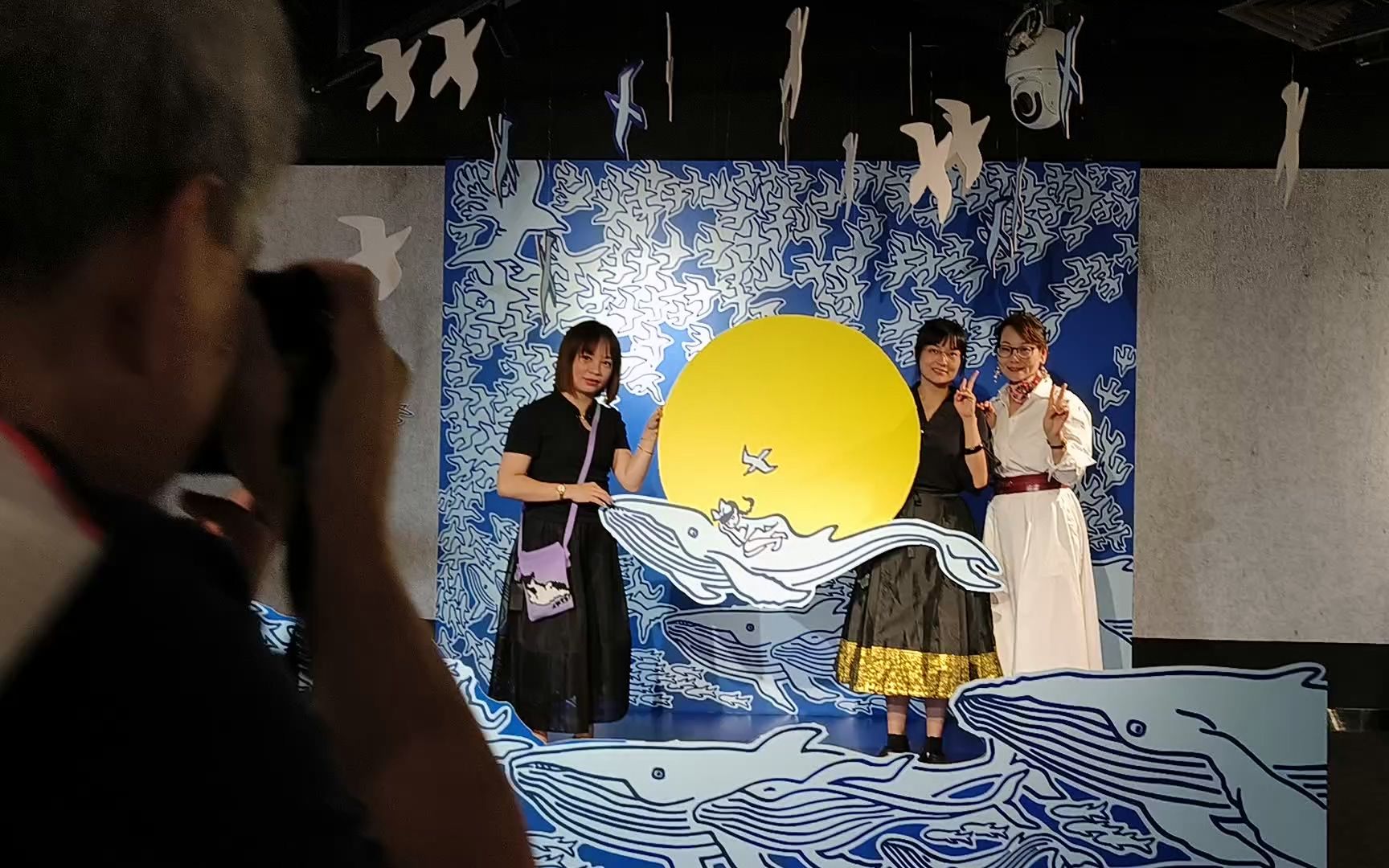 来一场少女与飞鸟的约会