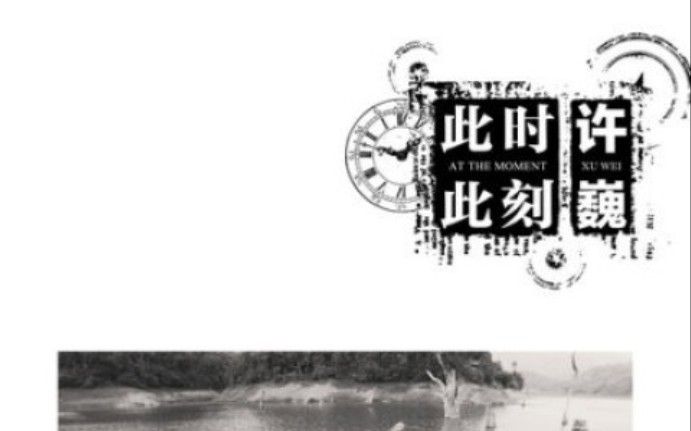 许巍2012年经典专辑《此时此刻》无损分轨纯享合集
