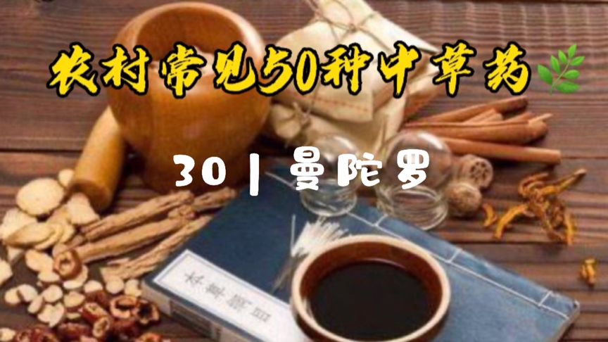 50种农村常见中草药ߌ�@中草药