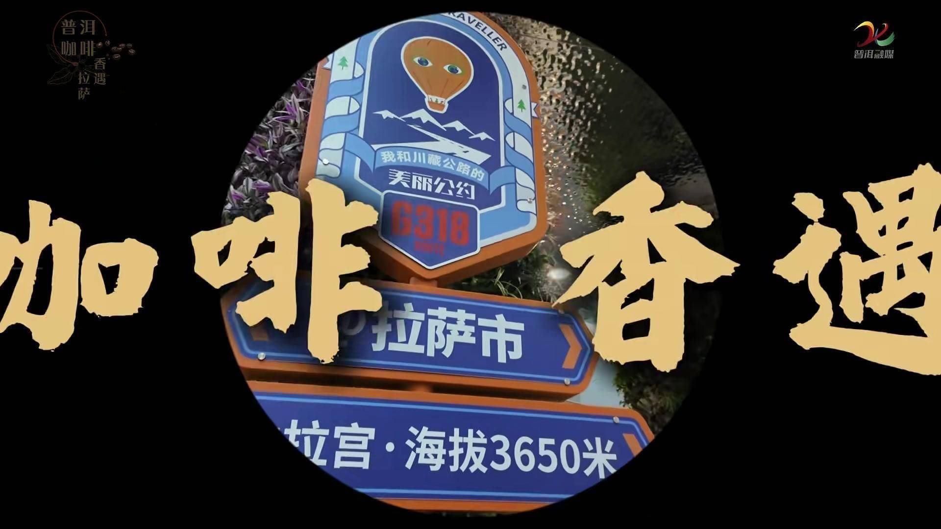 ...咖啡有多好喝?!#有一种叫云南的生活#绝版普洱香遇世界#云南小粒...