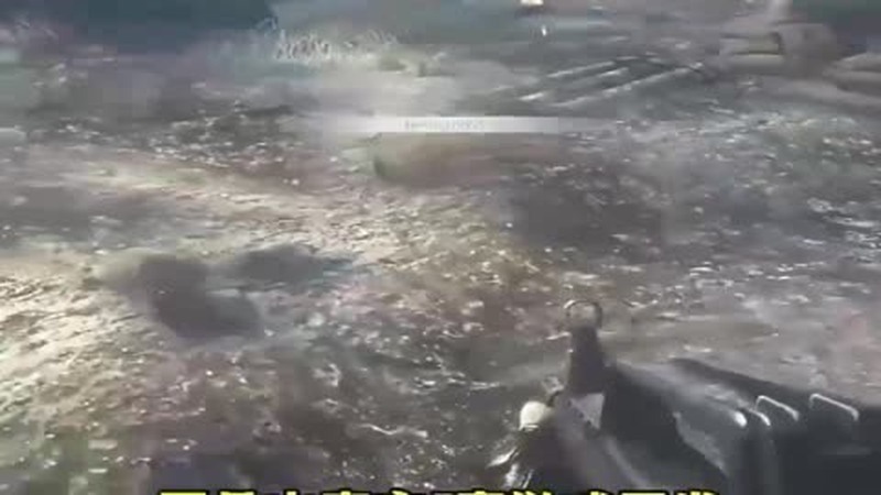 射击游戏 单机游戏 中国玩家让人热血沸腾的游戏