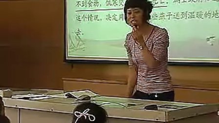 6-第六课-燕子专列--公开课教学比赛课堂实录-人教版 小学语文三年级 ...