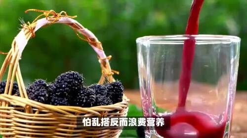 累到虚脱别硬扛!桑葚覆盆子这样喝气血双补不上火