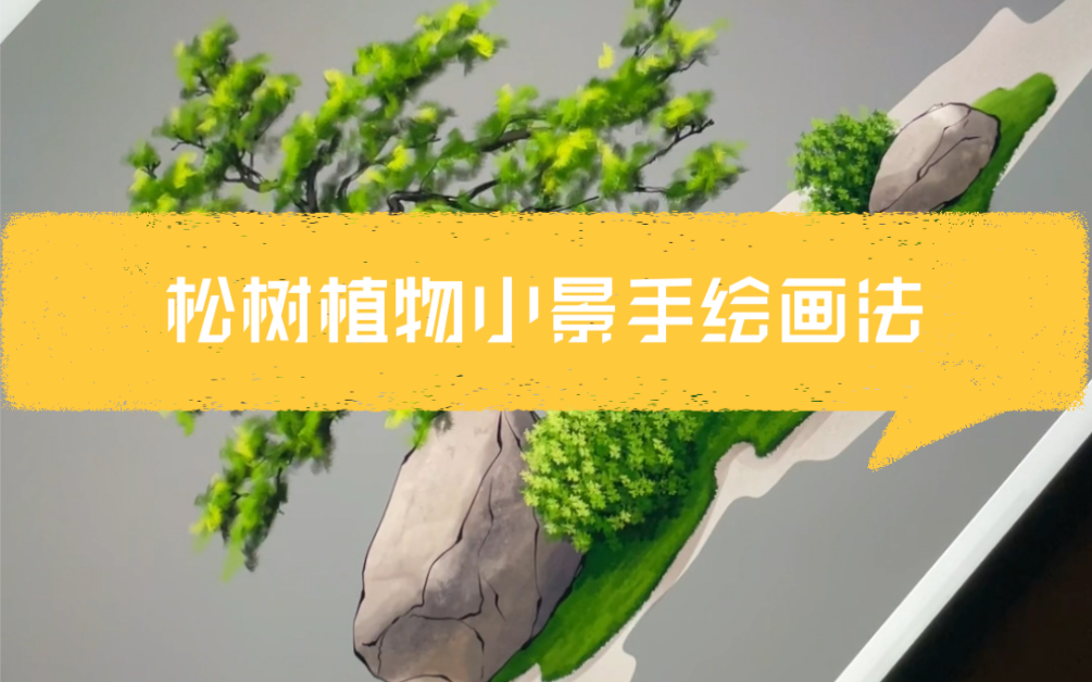 松树植物小景手绘画法#园林景观#iPad手绘#庭院小景
