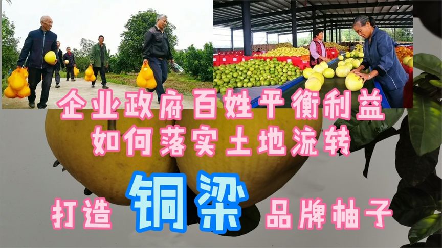 高素质农民培训研学(3)_企业政府百姓如何流转土地?经典案例介绍