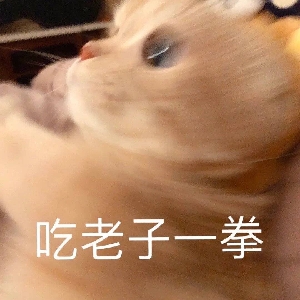 不喝咖啡阔劲的阿阿琼 