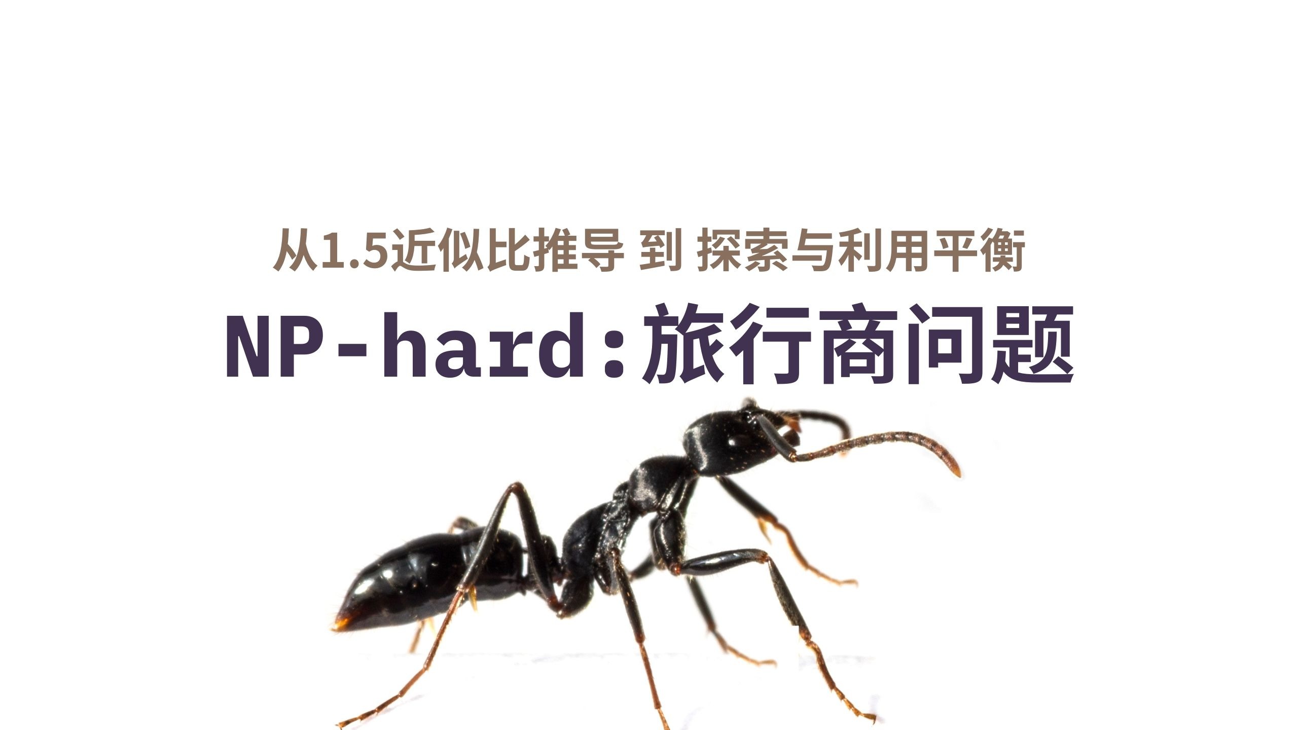 TSP旅行商问题:优化模型、分支限界、近似算法与模拟退火