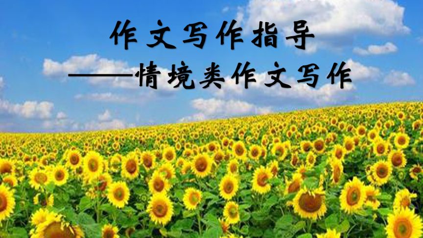 作文写作指导 ——情境类作文写作