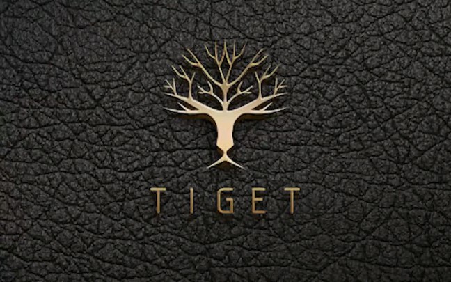 原创logo设计 Tiget 要有老虎 有字母T
