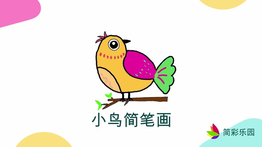 小鸟简笔画 亲子儿童绘画 小鸟画画教程