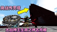 罗修斗罗大陆我的世界 最强成神之路 第15集 挑战传灵塔 大战神王生命...