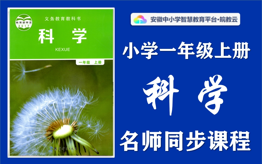 【小学同步课】小学科学一年级上册名师讲解同步课程,教科版小学...