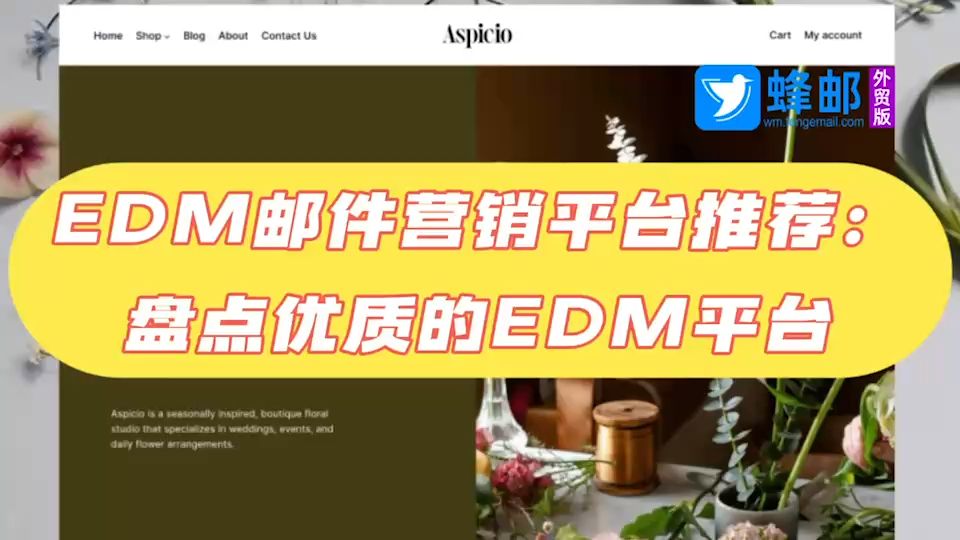 ...的EDM平台! EDM邮件营销平台使用技巧?电商怎么做EDM邮件营销?
