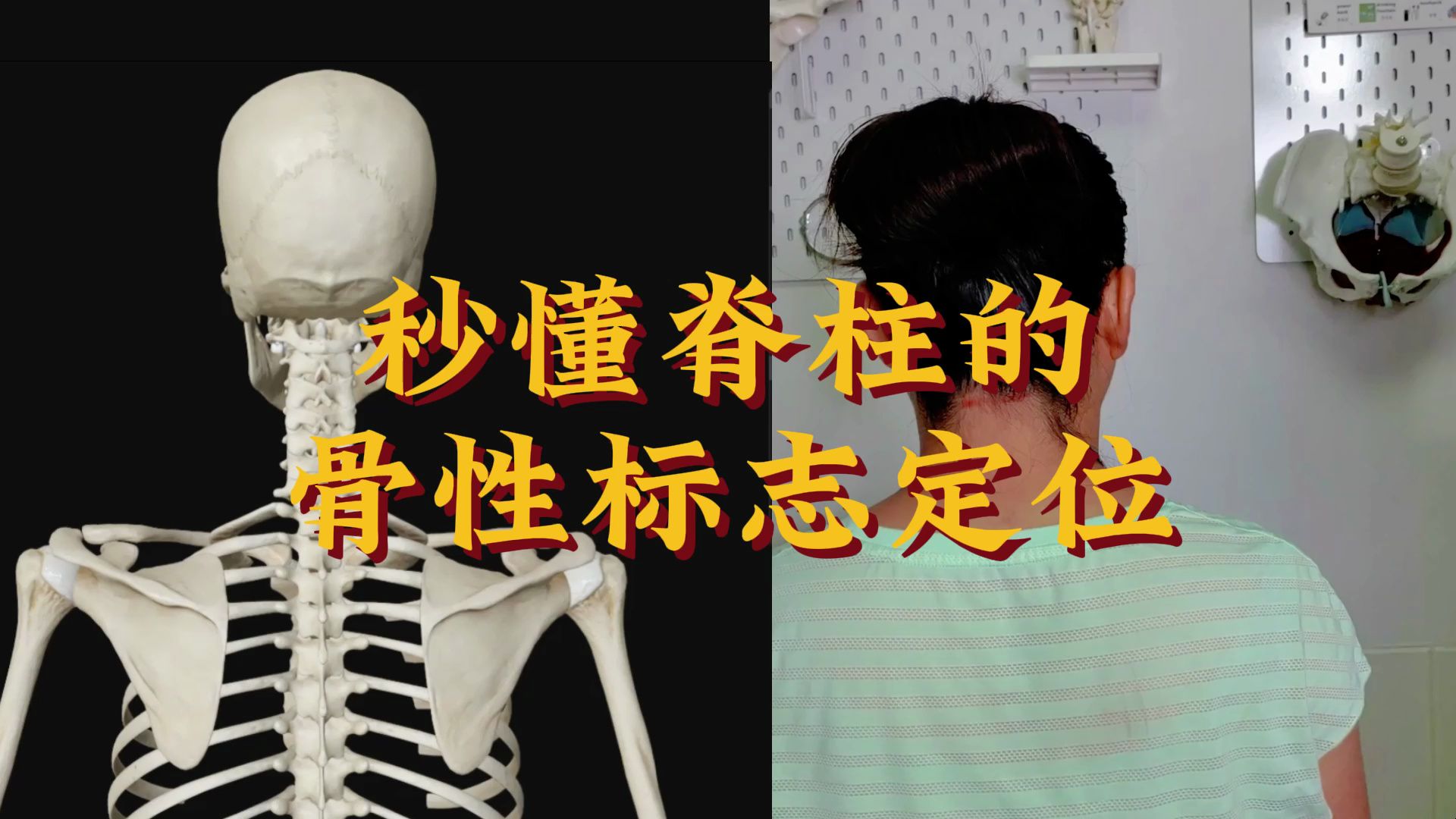 整脊检查 人体脊柱触诊定位骨性标志 简快整骨快速祛痛