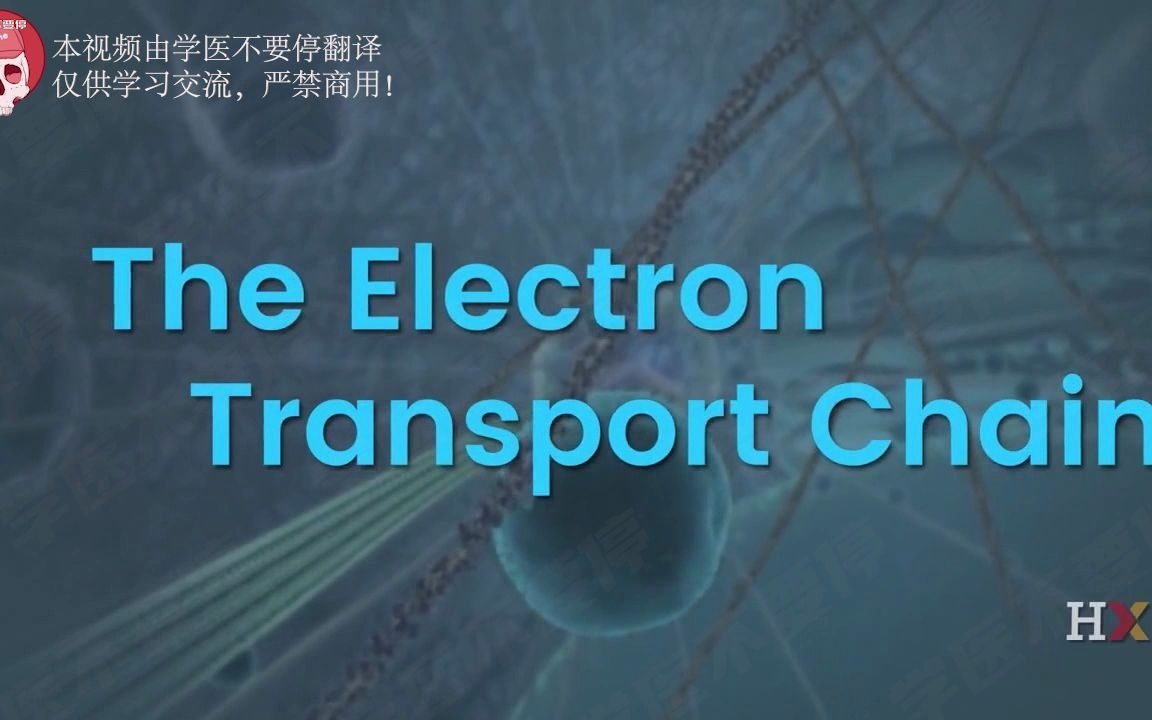 【哈佛大学】| 细胞生物学:3.4 细胞新陈代谢
