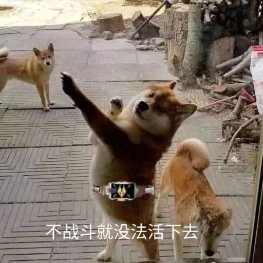 -凉森玲梦- 