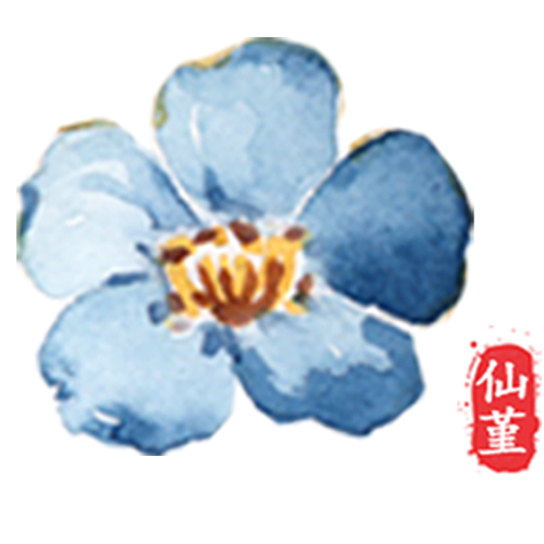 仙堇美术在线 