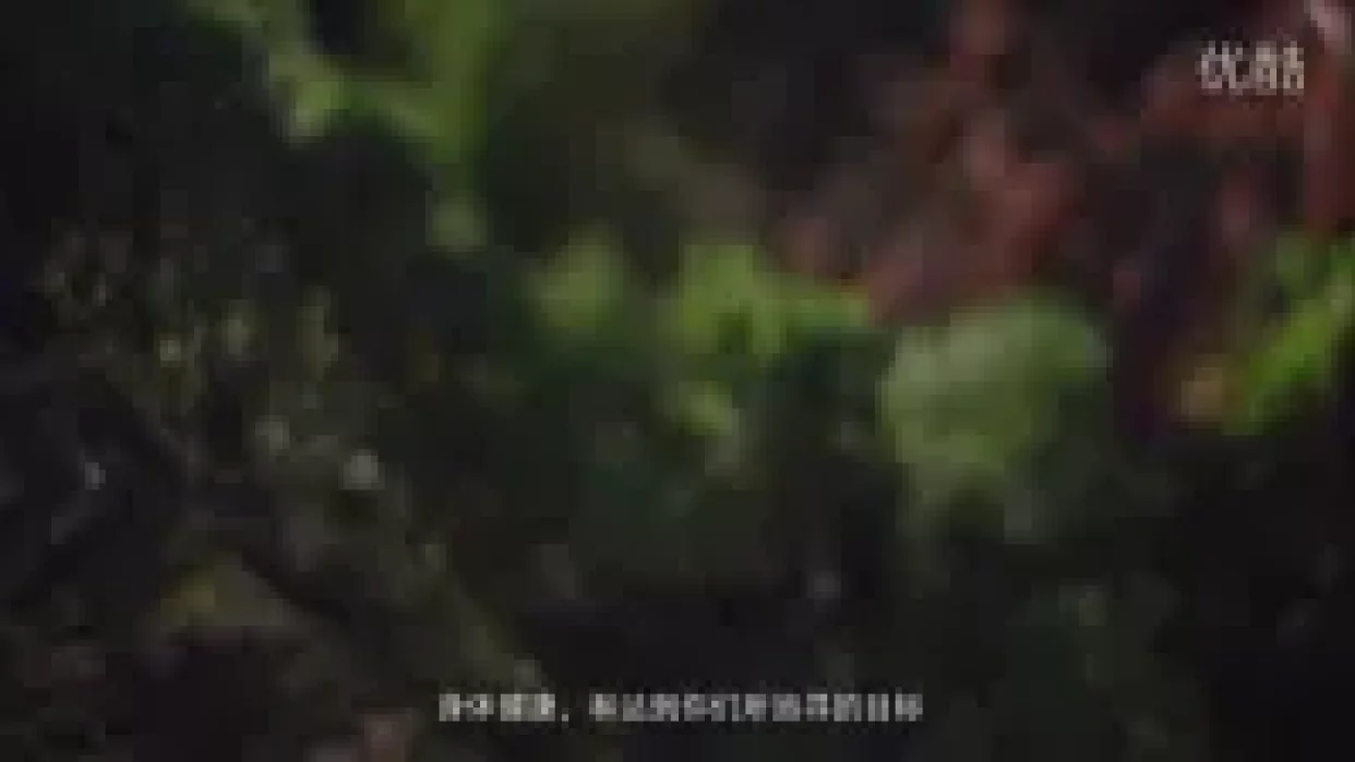 广州工商学院工商管理系 13级工商企业管理1班