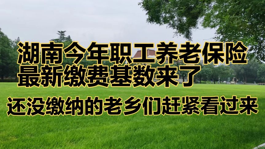 湖南省公布了职工养老保险最新缴费基数,没缴纳的老乡赶紧看过来