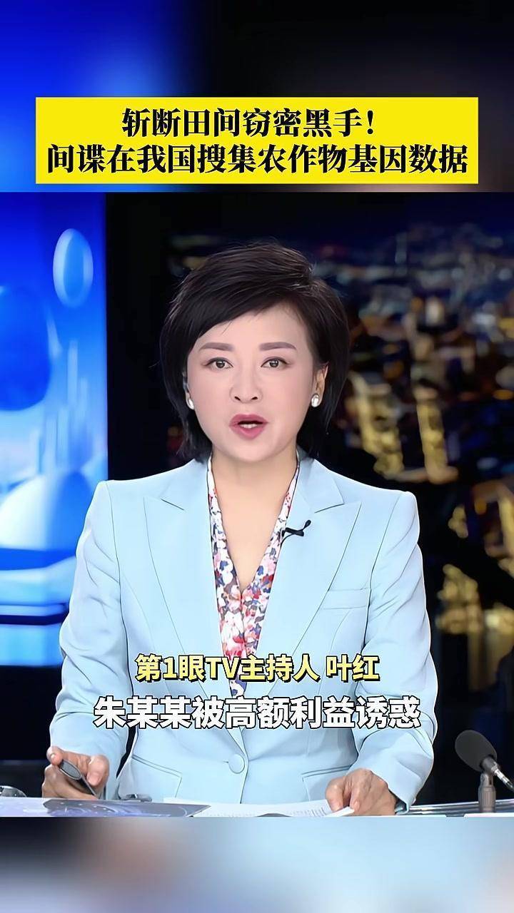 斩断田间窃密黑手!境内人员受高额利益诱惑向境外间谍出售亲本种子,...