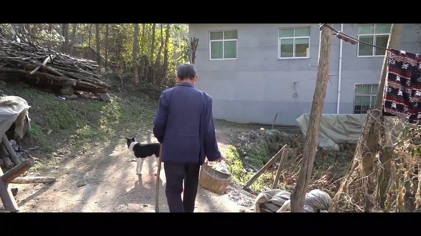 #陕西省第六届诚实守信道德模范#【巴山深处的“诚信老爹