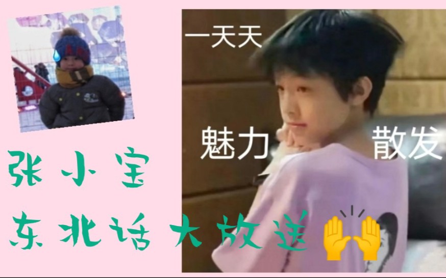 【TF家族|张泽禹】东北话大放送|从十八楼到东北只需一个张小宝