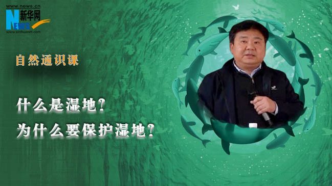 自然通识课丨什么是湿地?为什么要保护湿地?