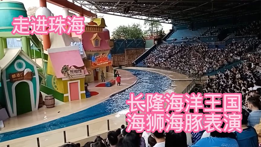 走进珠海…海洋王国看海狮海豚表演。
