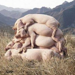 咸鱼_13 