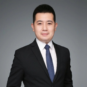 上海豪宅置业顾问高亮 