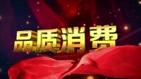 飘动红旗消费者权益日片头AEcc2015模板27秒