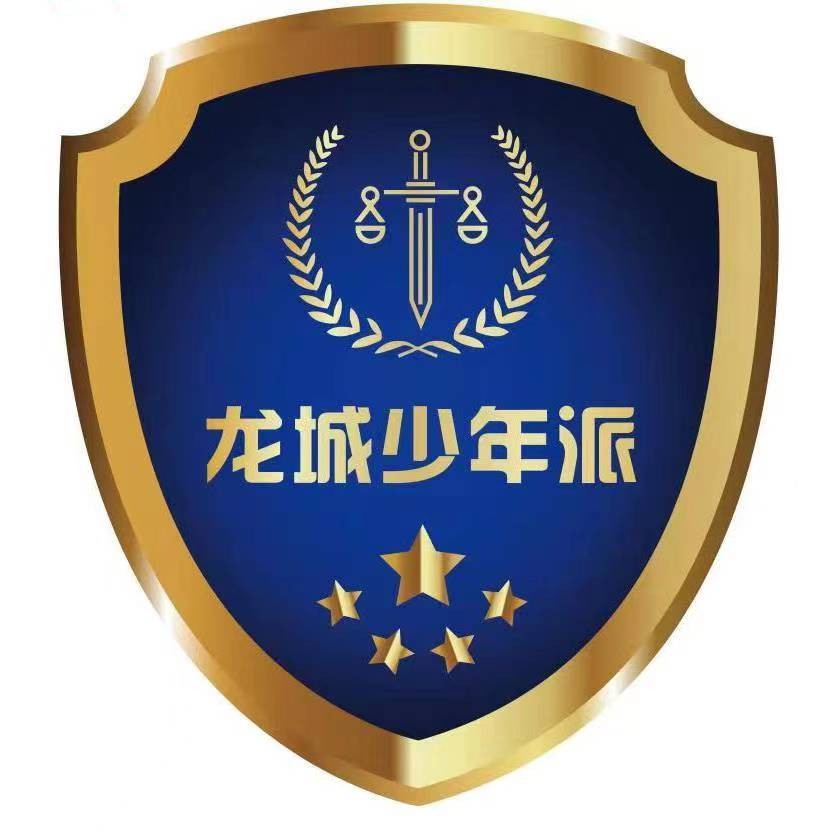 龙城少年派 
