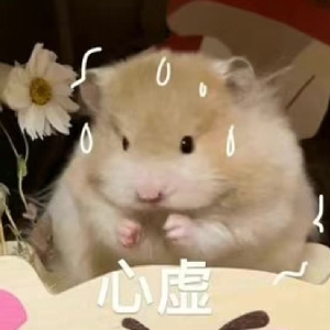 断背玫瑰 