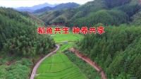 稻鱼共生 种养共享