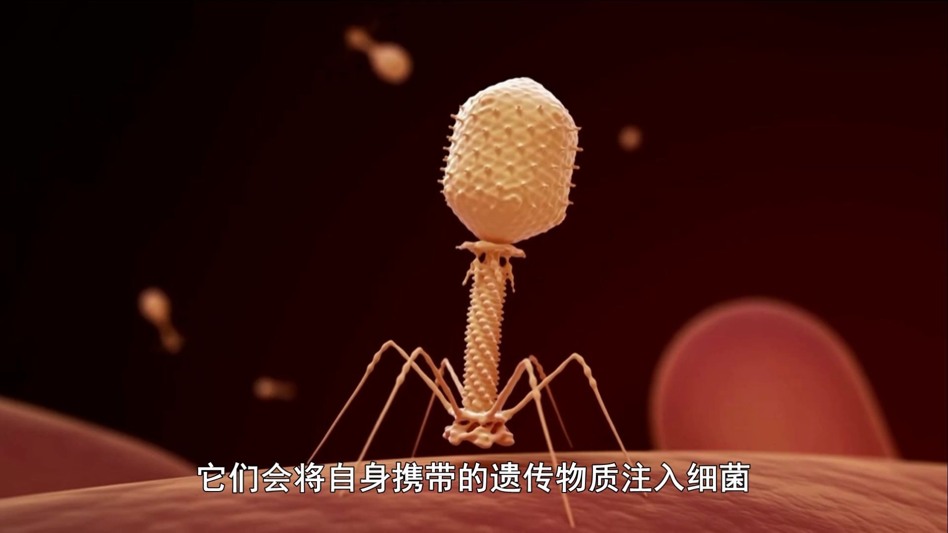 噬菌体作为病毒,外型却酷似机械,它们真的是自然产物吗?