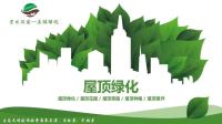 立体绿化——屋顶绿化概述