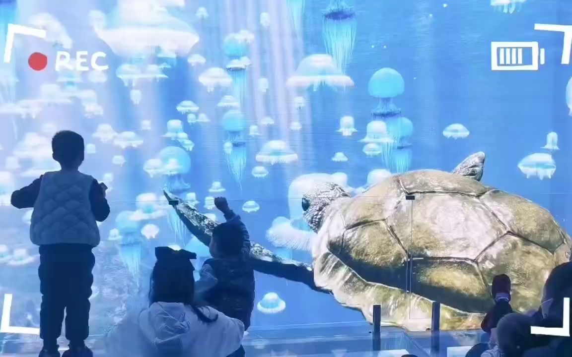 大型穹幕影院影片内容制作 沉浸式球幕飞行影院cave空间数字内容...