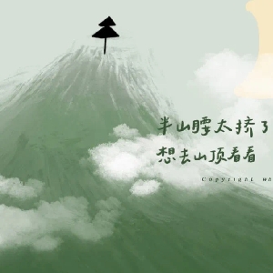 是宝璐呀呀呀 