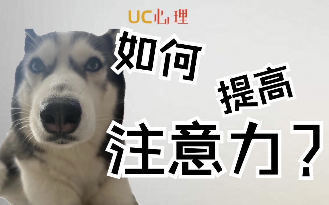 【UC的趣味测试84-解说】视觉注意力的训练方法(内附训练)