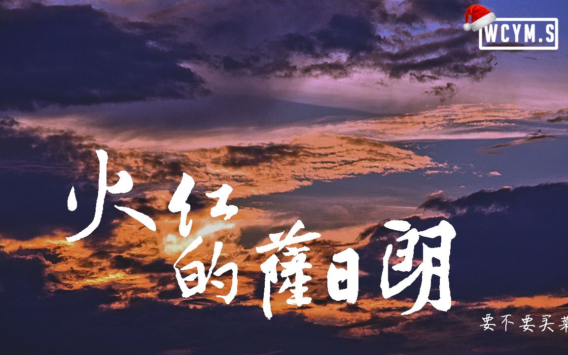 要不要买菜 - 火红的萨日朗【動態歌詞/Lyrics Video】