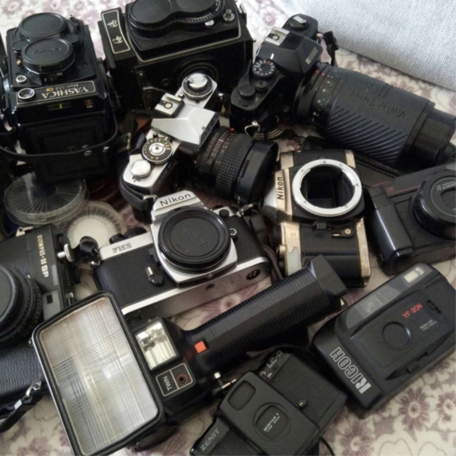 逐日的左视右觉 