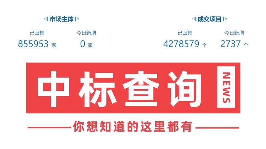 在哪可以查询到某家单位过往中标的项目?