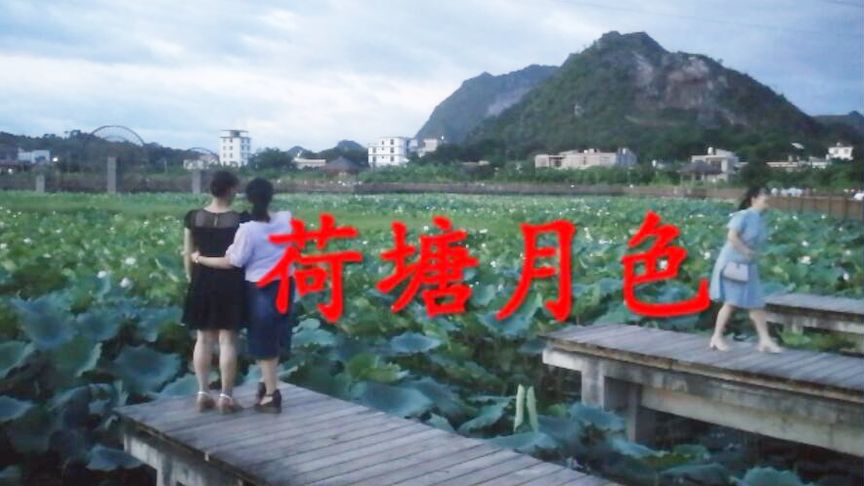 欣赏《荷塘月色》等,节奏明朗、韵律协调,有音乐美的感觉