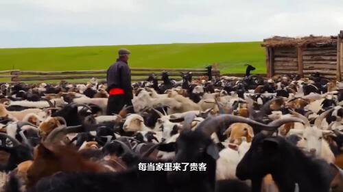 草原奇食!生羊皮不煮不烤竟成牧民秘藏美味