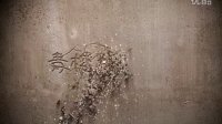 ae制作墙面剥落出字效果.