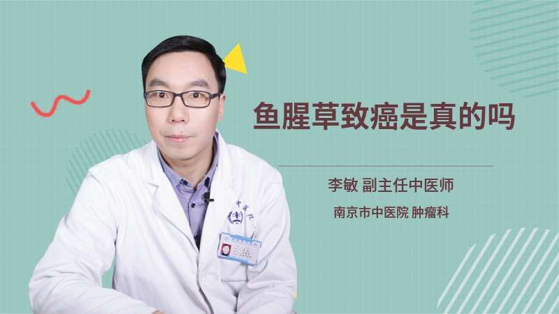 鱼腥草致癌是真的吗