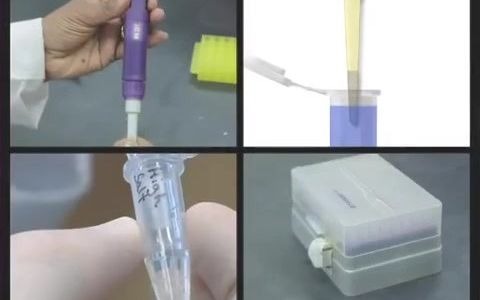 【转需】考研必备之实验室“枪”(移液器)的类型、使用方法和注意事项