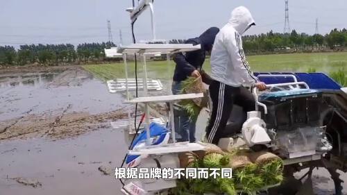 水稻插秧机多少千瓦 水稻插秧机的工作过程是怎么样的?