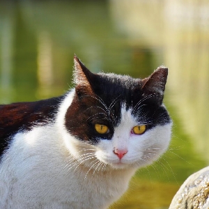 练习时长五年的高三生 