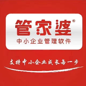 管家婆软件咨询 